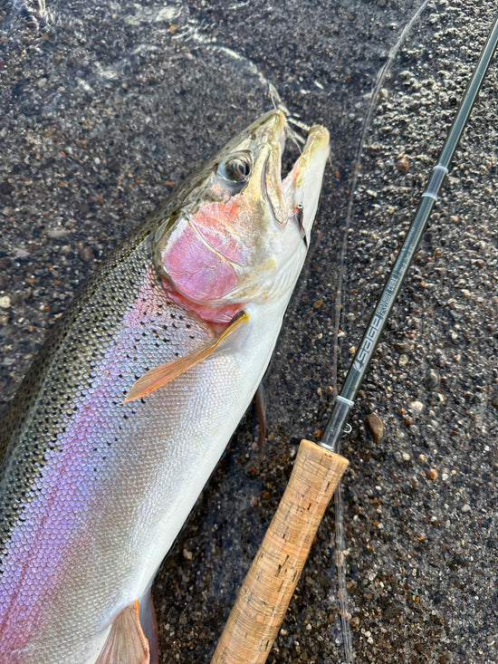 Sportinglife Turangi - Flyfishing Specialists - Outdoor Sports